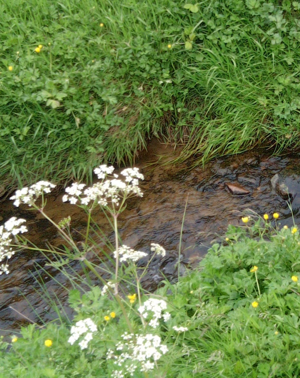 Checking your farm waterways - Water Innovation Network