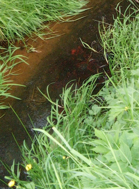 Checking your farm waterways - Water Innovation Network