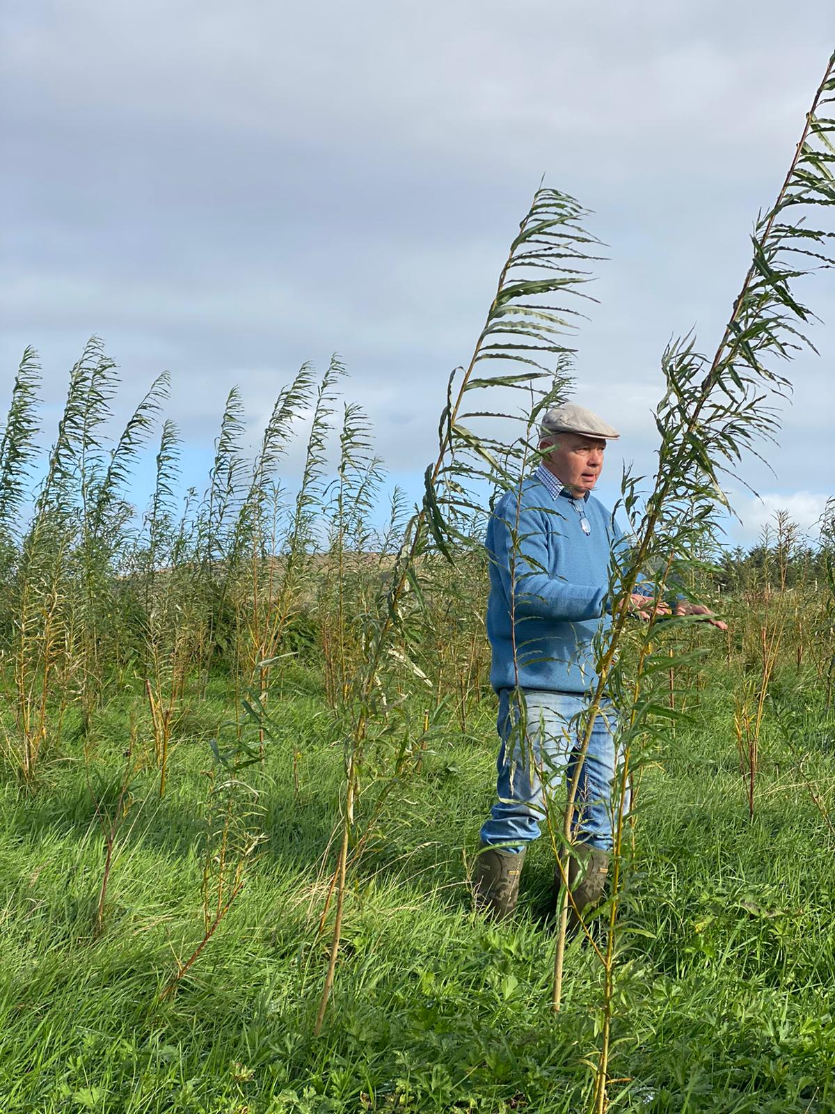 Water friendly farm walks - a perfect example of why we should be ...